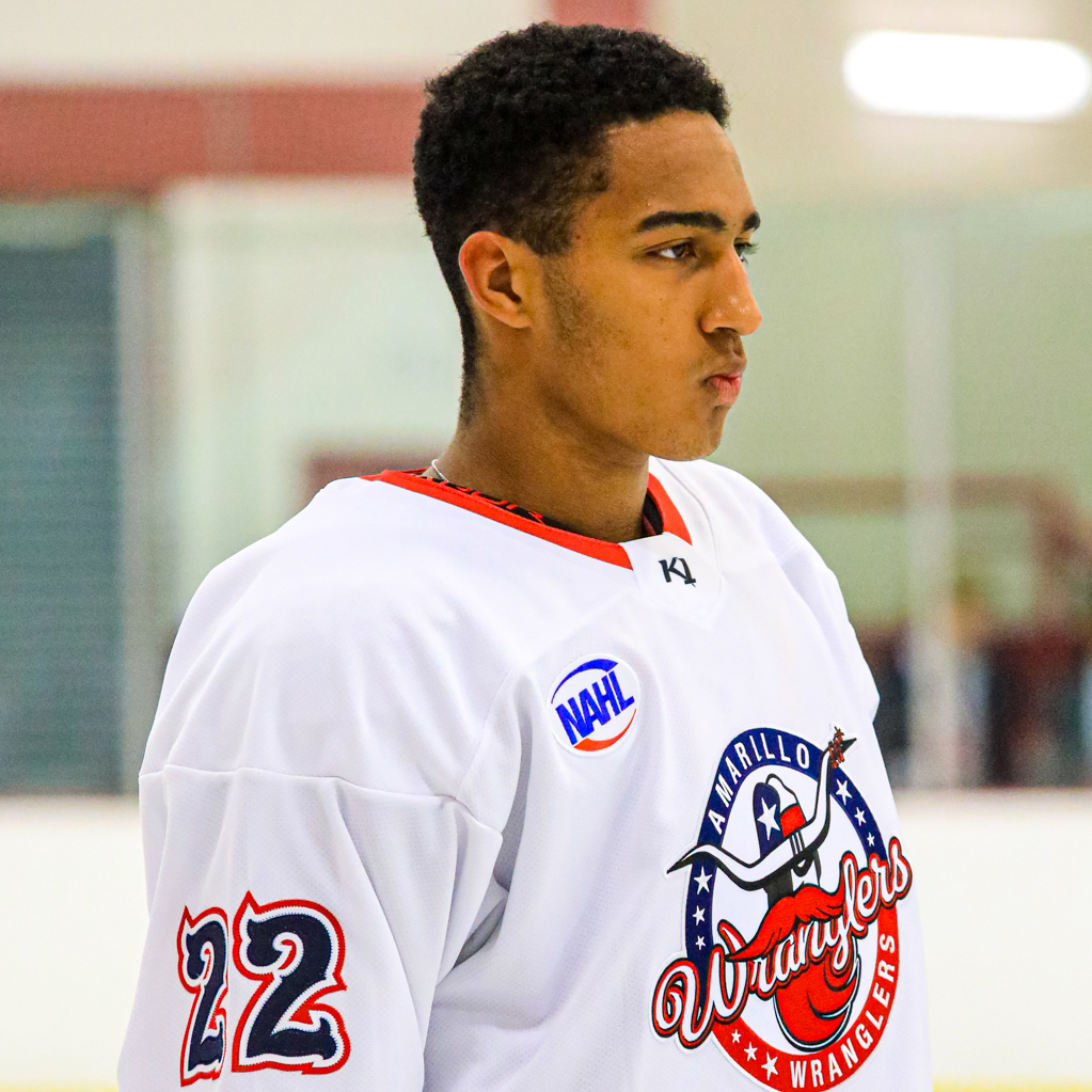 Home Paragon - Paragon